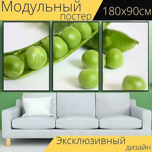 Модульный постер "Горох, овощ, здоровый" 180 x 90 см. для интерьера