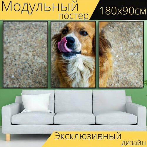 Модульный постер "Собака, метис, друг" 180 x 90 см. для интерьера
