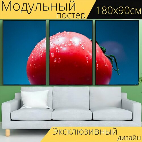 Модульный постер "Красный, помидор, овощи" 180 x 90 см. для интерьера