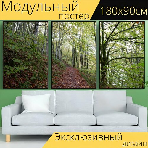 Модульный постер "Лес, природа, ирати" 180 x 90 см. для интерьера