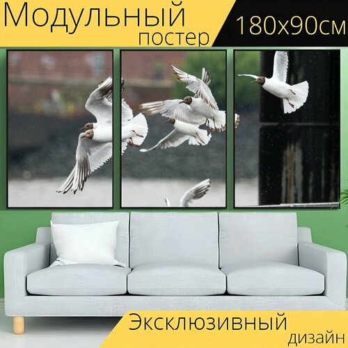 Модульный постер "Чайки, эльба, птицы" 180 x 90 см. для интерьера