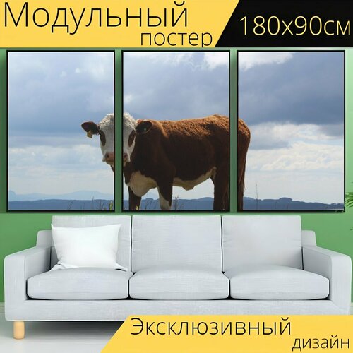 Модульный постер "Корова, жвачных животных, пастбище" 180 x 90 см. для интерьера