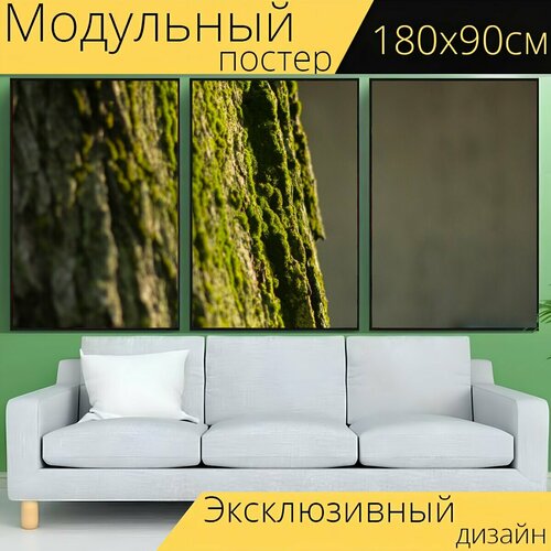 Модульный постер "Дерево, ствол, весна" 180 x 90 см. для интерьера