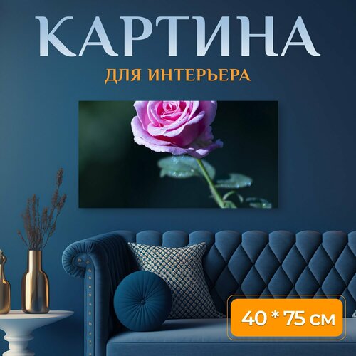 Картина на холсте "Роза, розовая роза, цветок" на подрамнике 75х40 см. для интерьера