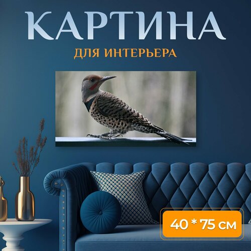 Картина на холсте "Дятел, птица, сойка" на подрамнике 75х40 см. для интерьера