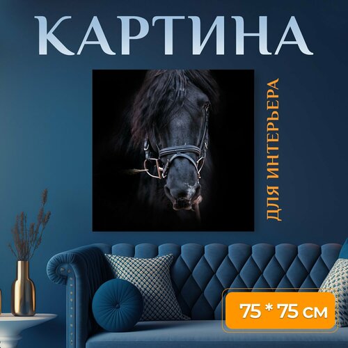 Картина на холсте "Лошадь, животное, уздечка" на подрамнике 75х75 см. для интерьера