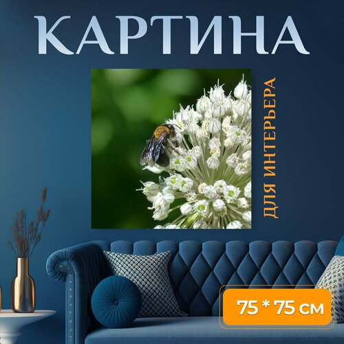 Картина на холсте "Пчела, сосать, цветок" на подрамнике 75х75 см. для интерьера