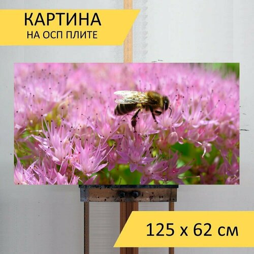 Картина на ОСП 125х62 см. "Пчела, цветок, летом" горизонтальная, для интерьера, с креплениями
