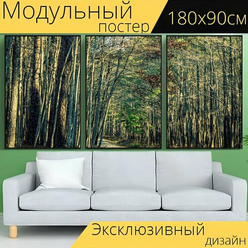 Модульный постер "Лесная дорога, деревья, дорога" 180 x 90 см. для интерьера