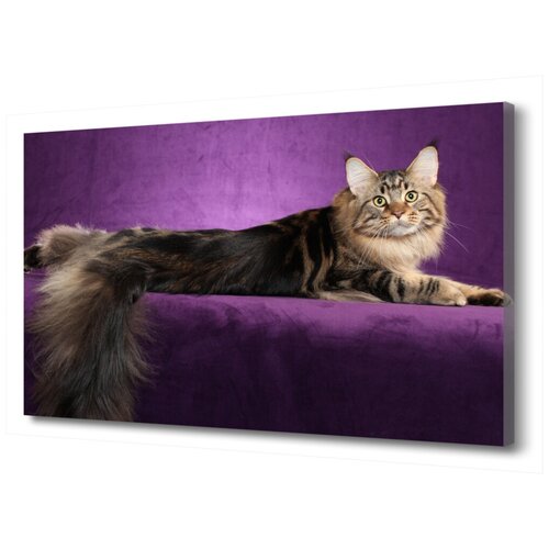 Картина на холсте "Кошка Мейн-кун" PRC-117 (45x30см). Натуральный холст