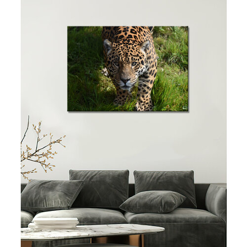 Картина/Ягур/Ягуар в джунглях/Ягуар на дереве/Черный ягуар/ - Ягуар (4) 20х30