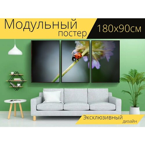 Модульный постер "Семиточечная божья коровка, жук, цветок" 180 x 90 см. для интерьера