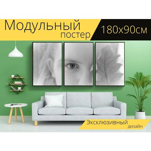 Модульный постер "Глаз, женщина, молодой" 180 x 90 см. для интерьера