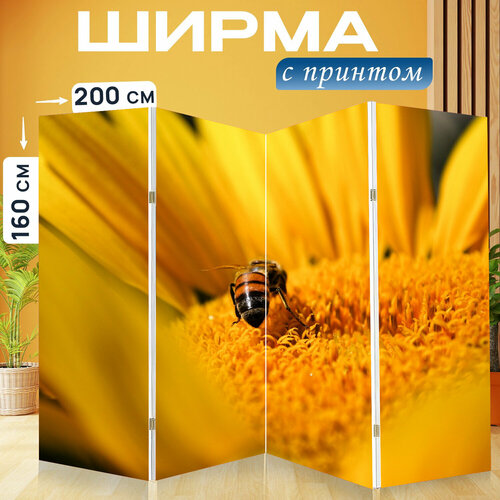 Ширма перегородка с принтом "Пчела, подсолнечник, желтый" на холсте - 200x160 см. для зонирования, раскладная