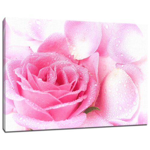 Картина Уютная стена "3D Розовые розы с каплями" 90х60 см