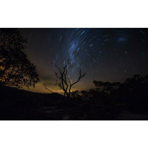 Картина на холсте 60x110 LinxOne "Дерево, ночь, звездное небо, движение" интерьерная для дома / на стену / на кухню / с подрамником