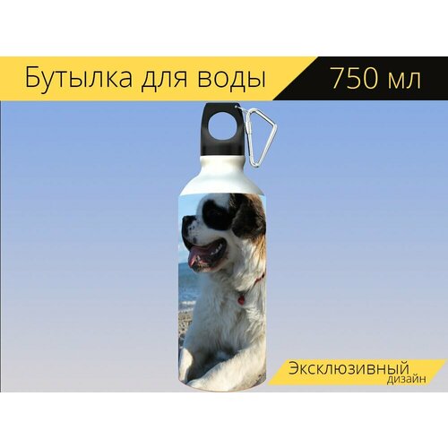 Бутылка фляга для воды "Собака, сенбернар, пляж" 750 мл. с карабином и принтом