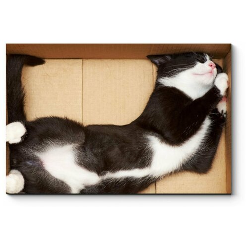 Модульная картина Кот в картонном домике 90x60
