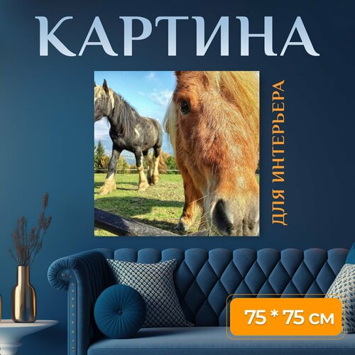 Картина на холсте "Лошадь, коник, лошади" на подрамнике 75х75 см. для интерьера