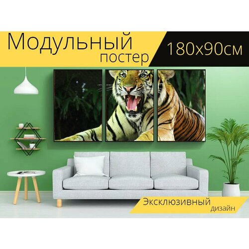 Модульный постер "Тигр, большой кот, таиланд" 180 x 90 см. для интерьера