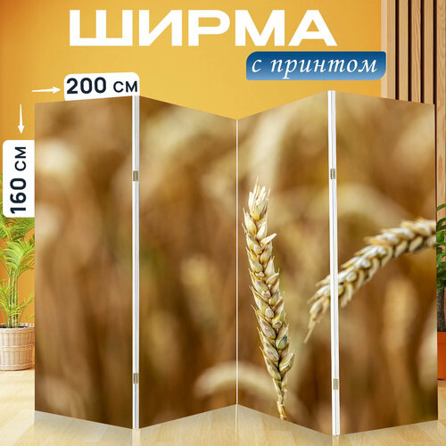 Ширма перегородка с принтом "Пшеница, пшеничное поле, поля" на холсте - 200x160 см. для зонирования, раскладная