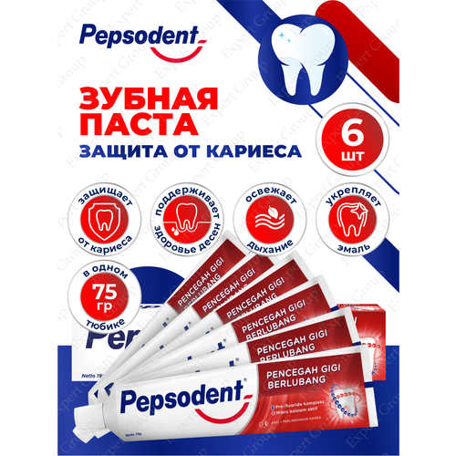 Зубная паста Pepsodent Защита от кариеса 75 гр. х 6 шт.