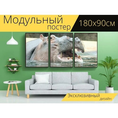 Модульный постер "Бегемот, зоопарк, закрывать" 180 x 90 см. для интерьера