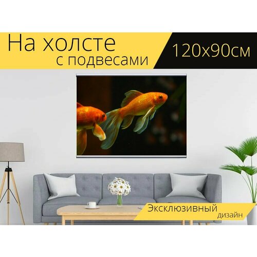 Картина на холсте "Вуаль хвоста, рыбы, золотая рыбка" с подвесами 120х90 см. для интерьера