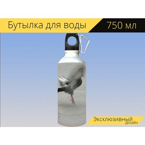 Бутылка фляга для воды "Голубь, взлет, птицы" 750 мл. с карабином и принтом