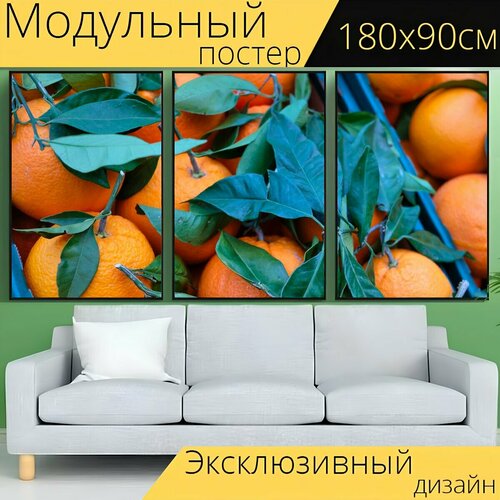 Модульный постер "Апельсины, фрукты, витамины" 180 x 90 см. для интерьера