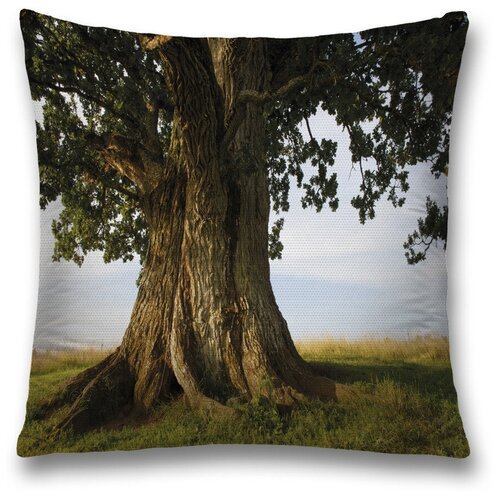 Наволочка декоративная на молнии, чехол на подушку JoyArty "Старое дерево" 45х45 см
