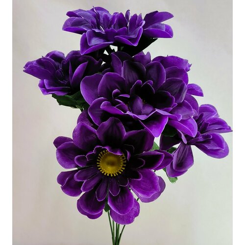 Георгины фиолетовые, высотой 40см, 6 бутонов диаметром 11 см
