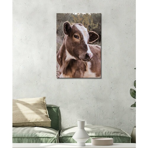 Картина -Корова, коричневая корова, корова на пастбище, бык (14) 20х30