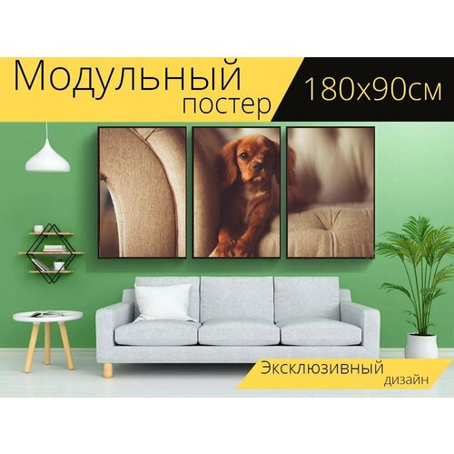 Модульный постер "Собака, диван, коричневая собака" 180 x 90 см. для интерьера
