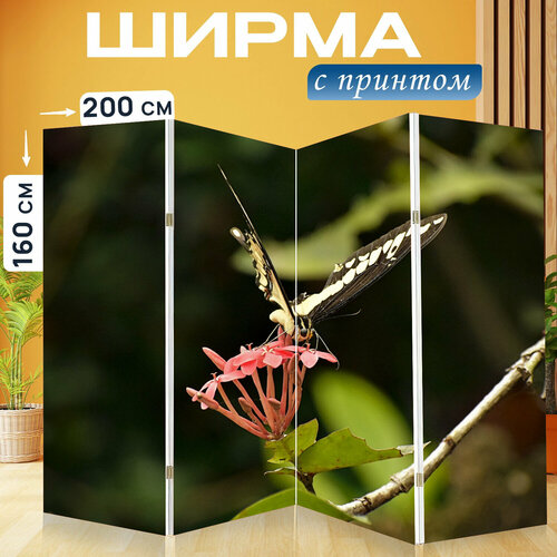 Ширма перегородка с принтом "Бабочка, природа, насекомые" на холсте - 200x160 см. для зонирования, раскладная
