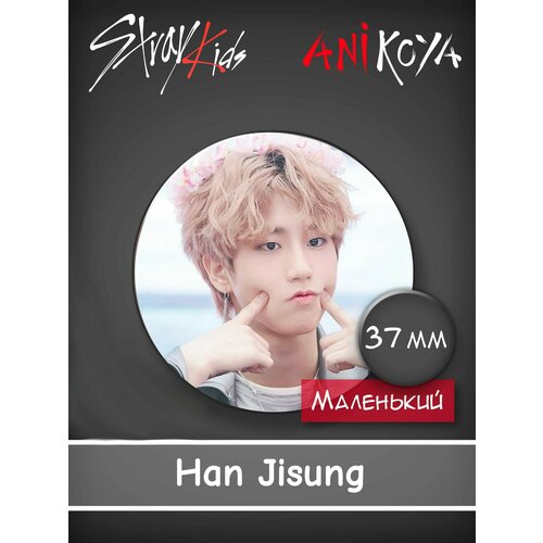 Значки к-pop Стрей Кидс / Stray Kids Han Jinsung 37 мм AniKoya мерч