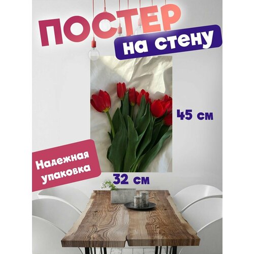 Постер 32х45 Эстетика тюльпанов