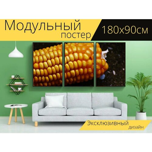 Модульный постер "Кукуруза, кукуруза в початках, кукурузные зерна" 180 x 90 см. для интерьера