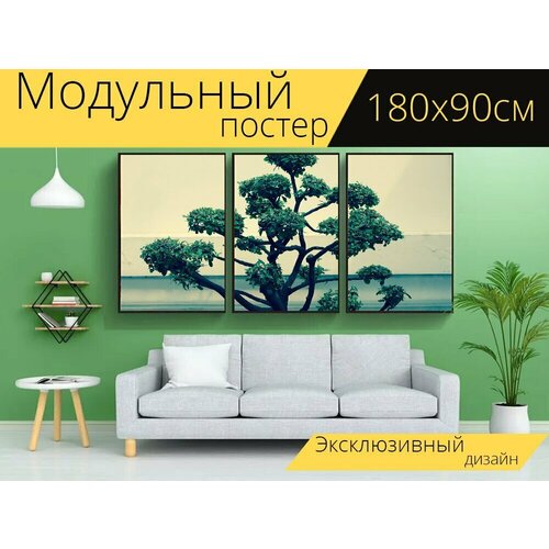 Модульный постер "Бонсай, дерево, саженец" 180 x 90 см. для интерьера