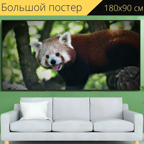 Большой постер "Красная панда, животное, млекопитающее" 180 x 90 см. для интерьера
