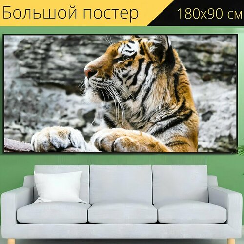 Большой постер "Животное, хищник, тигр" 180 x 90 см. для интерьера