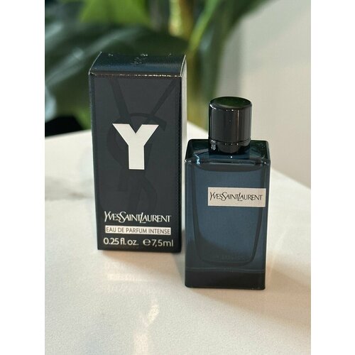Yves Saint Laurent парфюмерная вода Y pour Homme, 7,5 мл