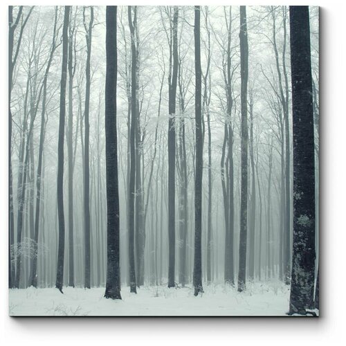 Модульная картина В зимнем лесу50x50