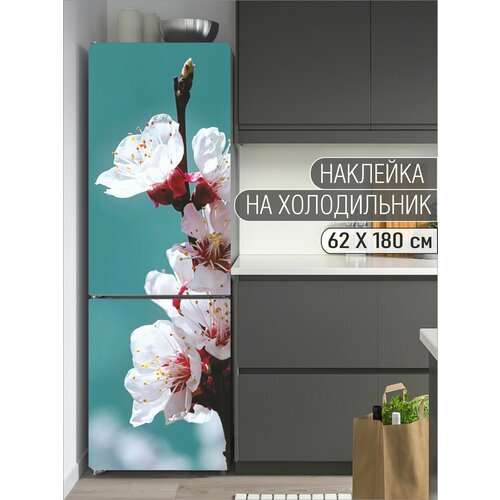 Интерьерная наклейка на холодильник "Цветы сакуры на голубом фоне" для декора дома, размер 62х180 см
