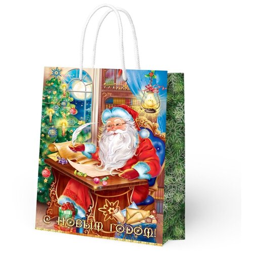Пакет подарочный "Дед Мороз и Снегурочка - 2", 250*350*100 мм