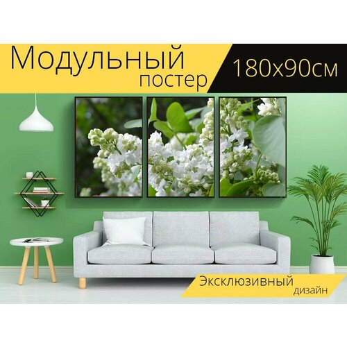 Модульный постер "Сирень, белый, природа" 180 x 90 см. для интерьера
