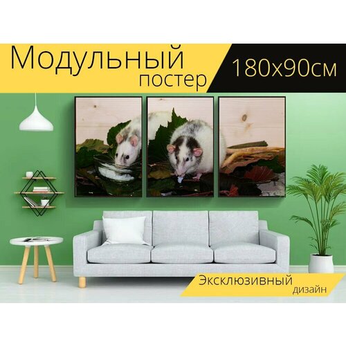 Модульный постер "Крысы, цветные крысы, грызуны" 180 x 90 см. для интерьера