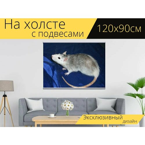 Картина на холсте "Животное, крыса, грызун" с подвесами 120х90 см. для интерьера