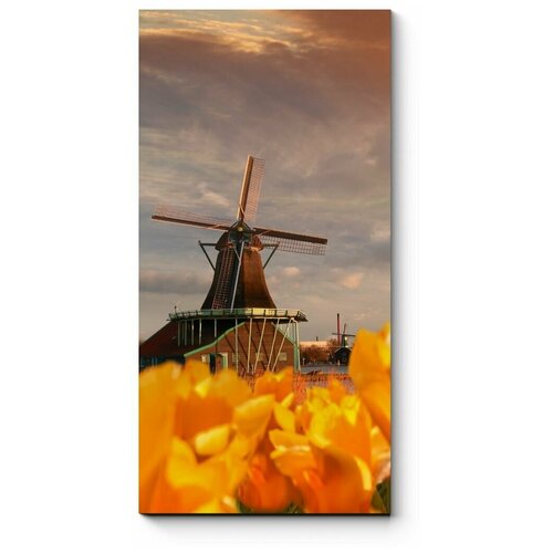 Модульная картина Ветряная мельница и желтые тюльпаны на закате 30x60