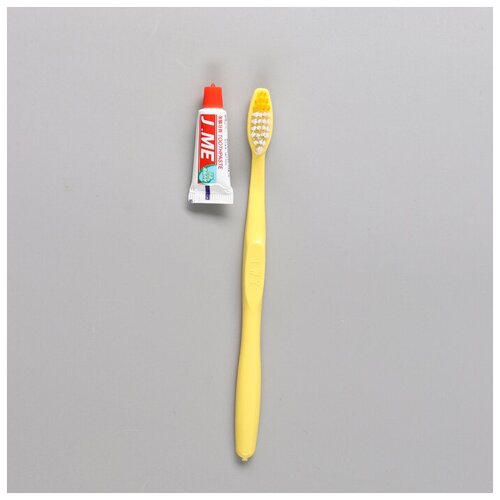 Зубной набор: зубная щетка 16 см + зубная паста 3 г(50 шт.)